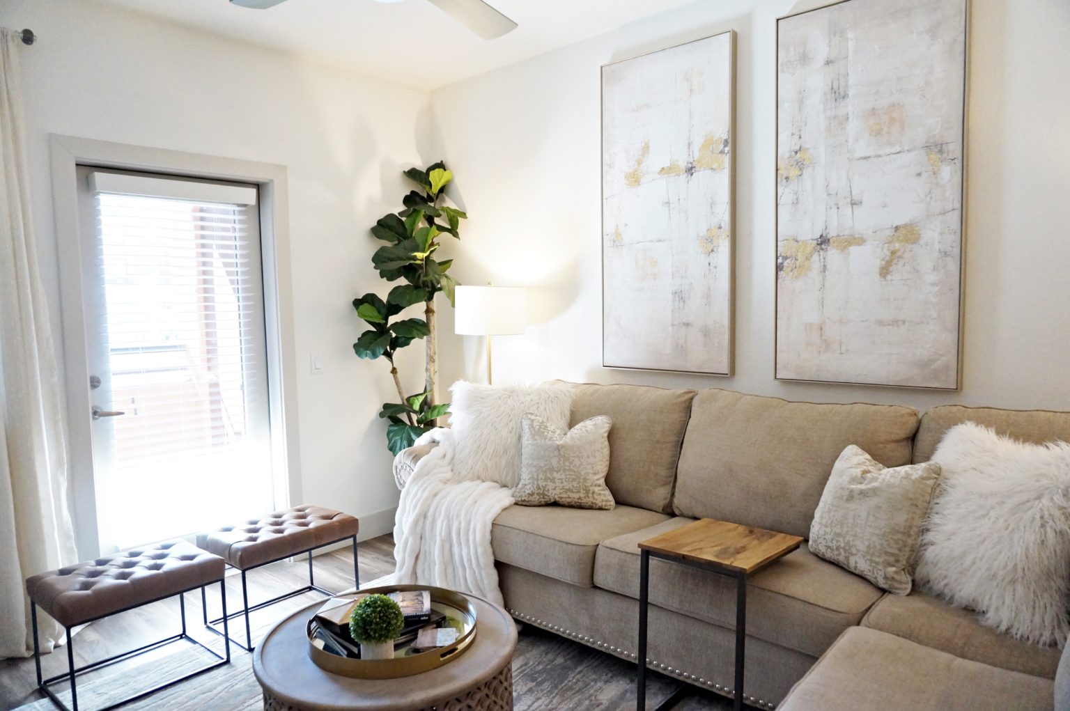 AZ Bachelor Pad